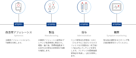 治療プロセス | 製品情報：ブレヤンジ（Breyanzi） | CAR T療法の総合情報サイト Information Hub for CAR ...